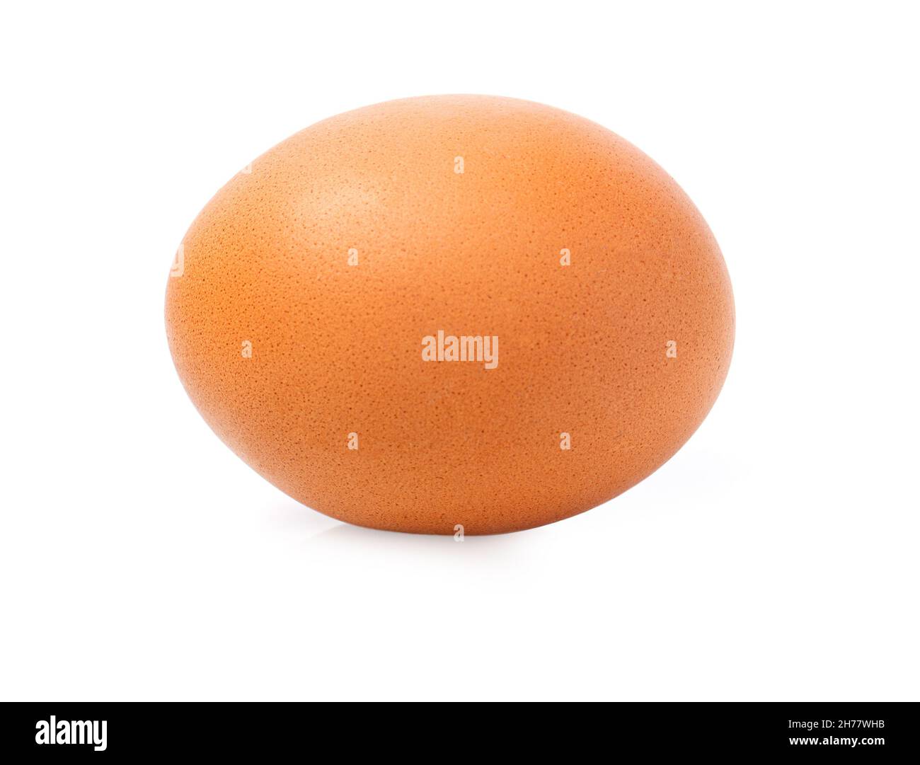 One egg isolated hi-res stock photography and images - Alamy