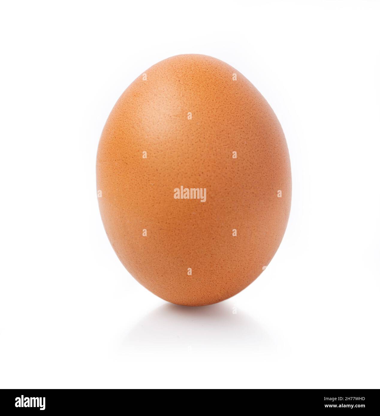 One egg isolated hi-res stock photography and images - Alamy