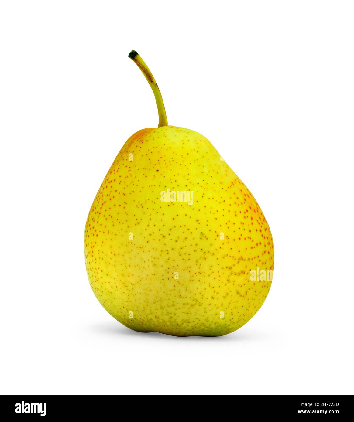 Ripe pear with stem isolated on white background with clipping path ...