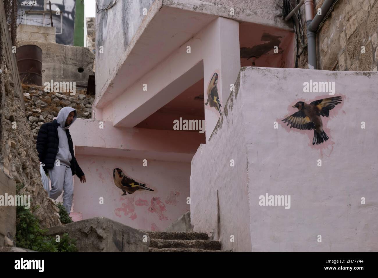 A Palestinian resident walks trough a house decorated with painted wall ...