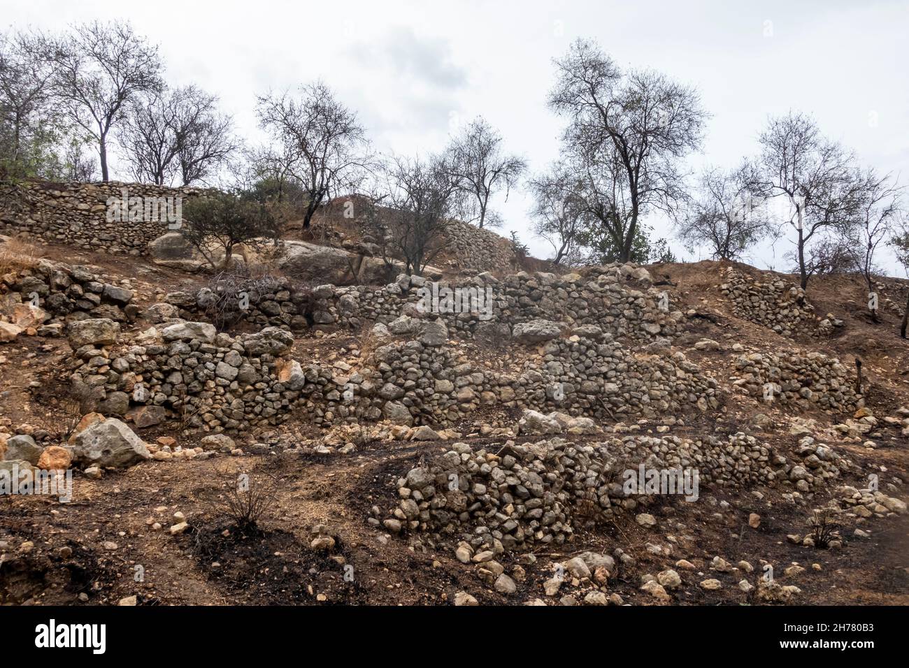 Sataf hi-res stock photography and images - Alamy