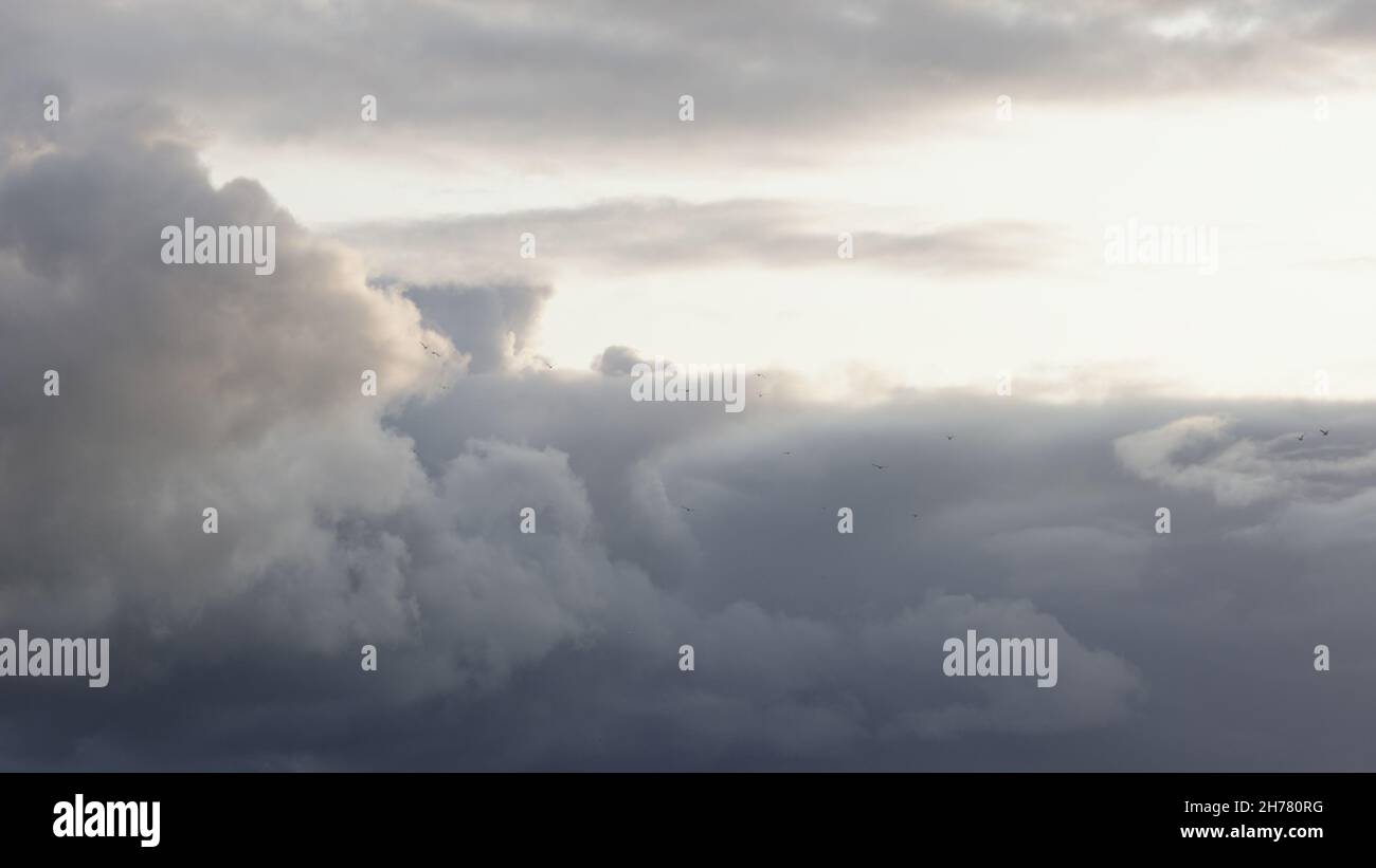 Birds flying in slow motion hi-res stock photography and images - Alamy