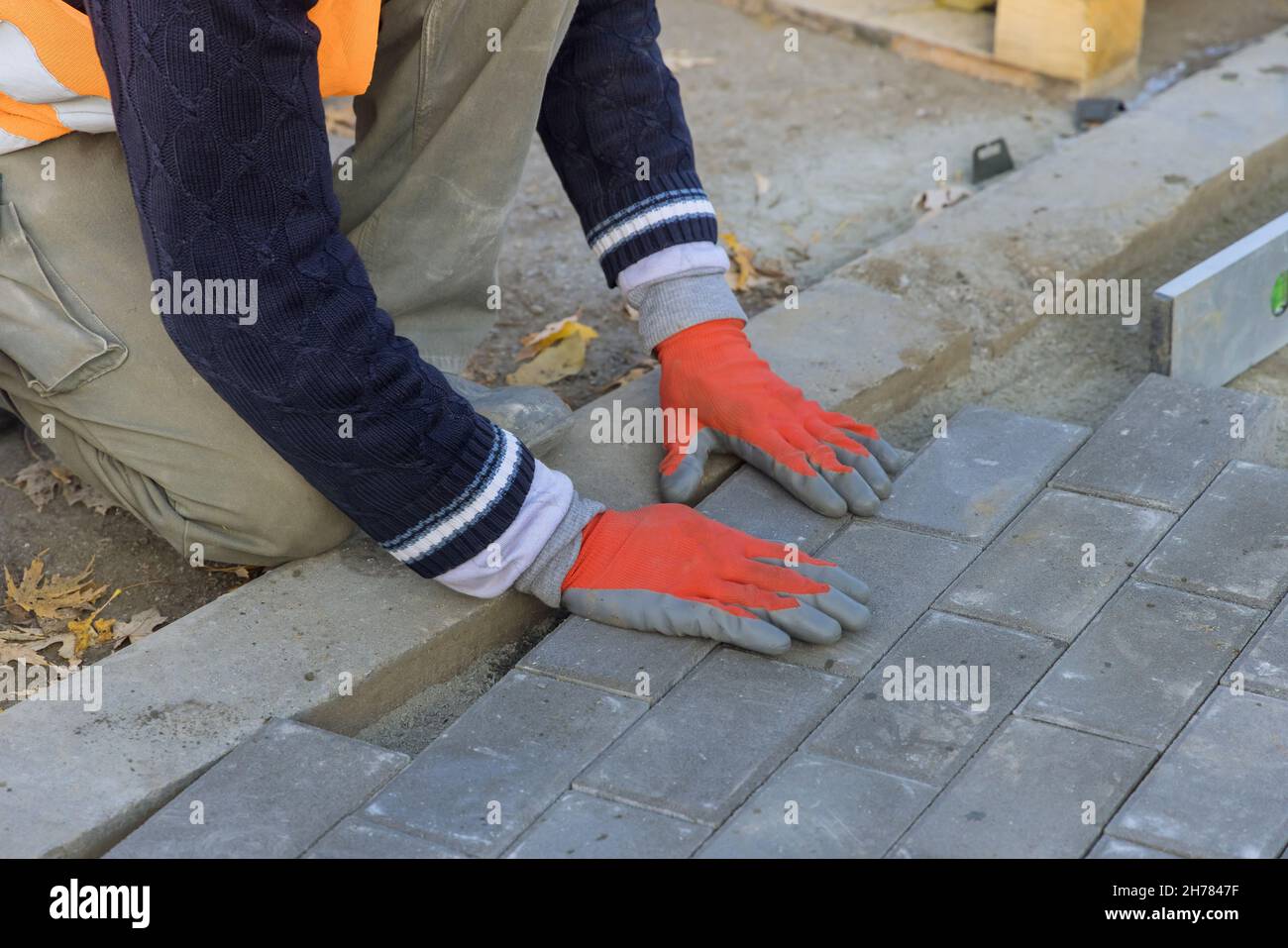Professional worker layers installing laying gray concrete brick the ...