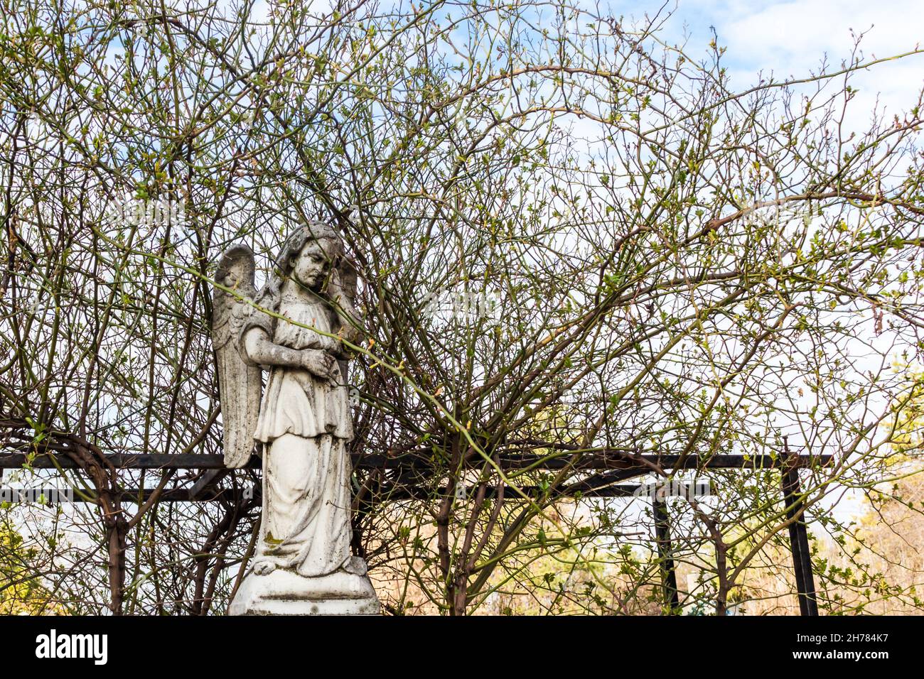A beautiful scene of a stony historical statue of a sad angel in a park ...