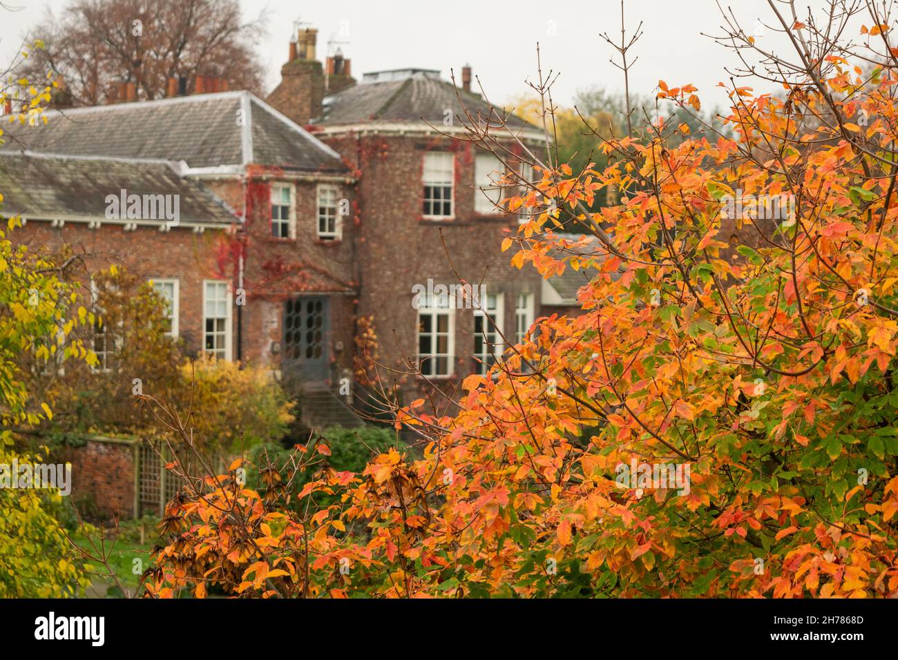 Orange leaves history and heritage hi-res stock photography and images ...