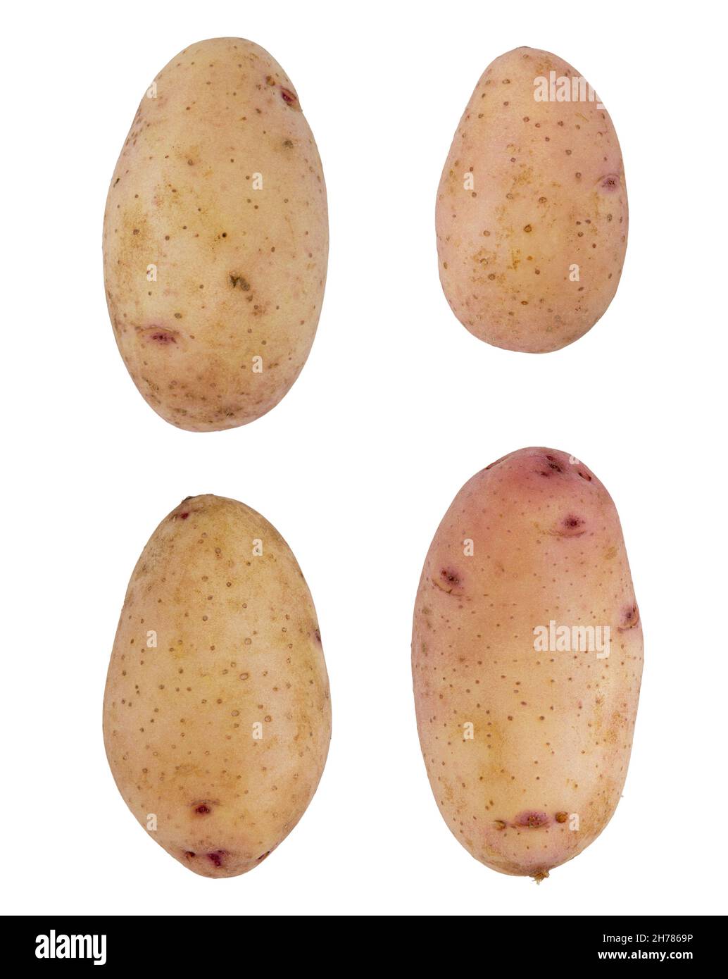 pile of potatoes isolated on white background, four red potatoes, top ...