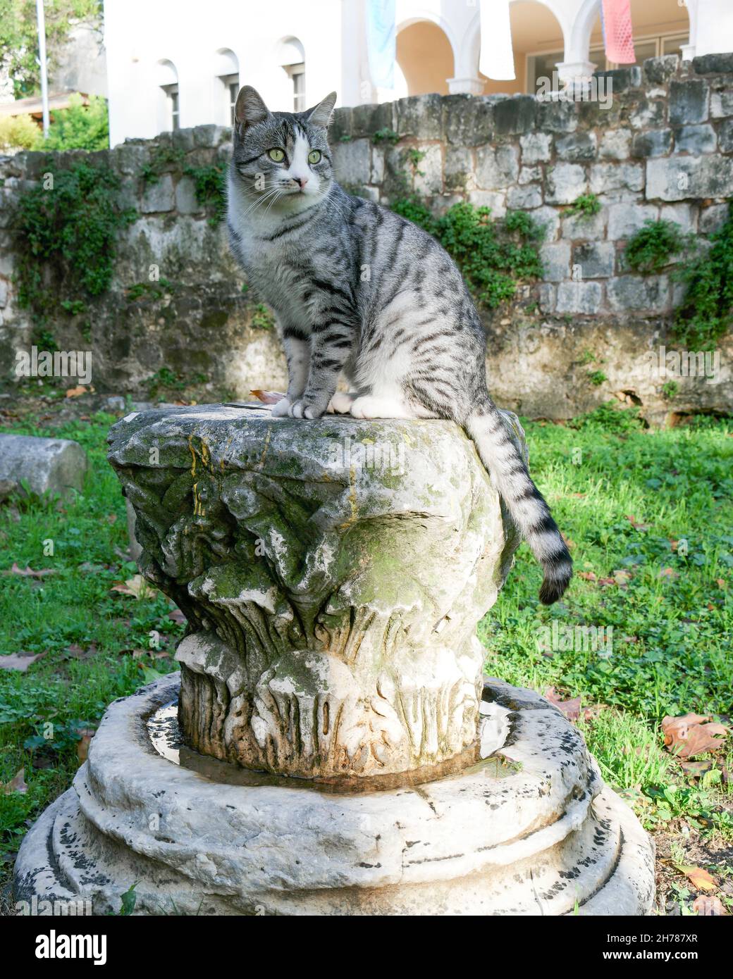 Old pillar hi-res stock photography and images - Alamy