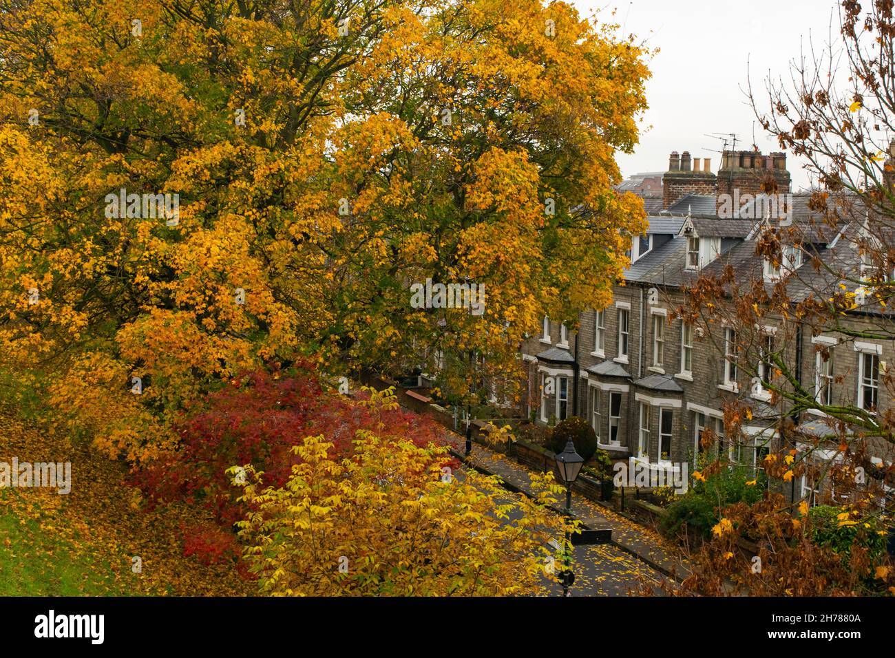 Beautiful colorful autumn trees across British terraced brick houses in ...