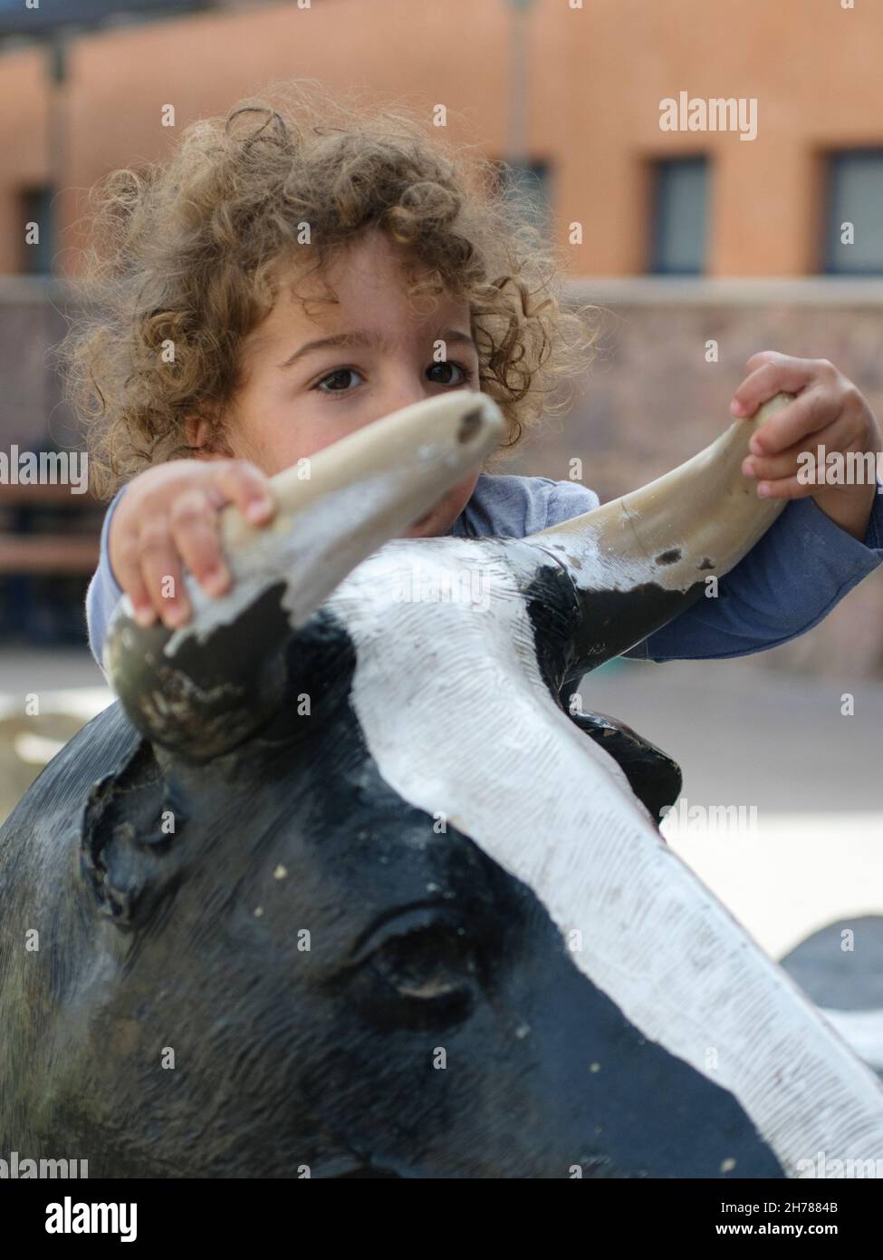 Young boy catches the bull by it's horns Stock Photo - Alamy