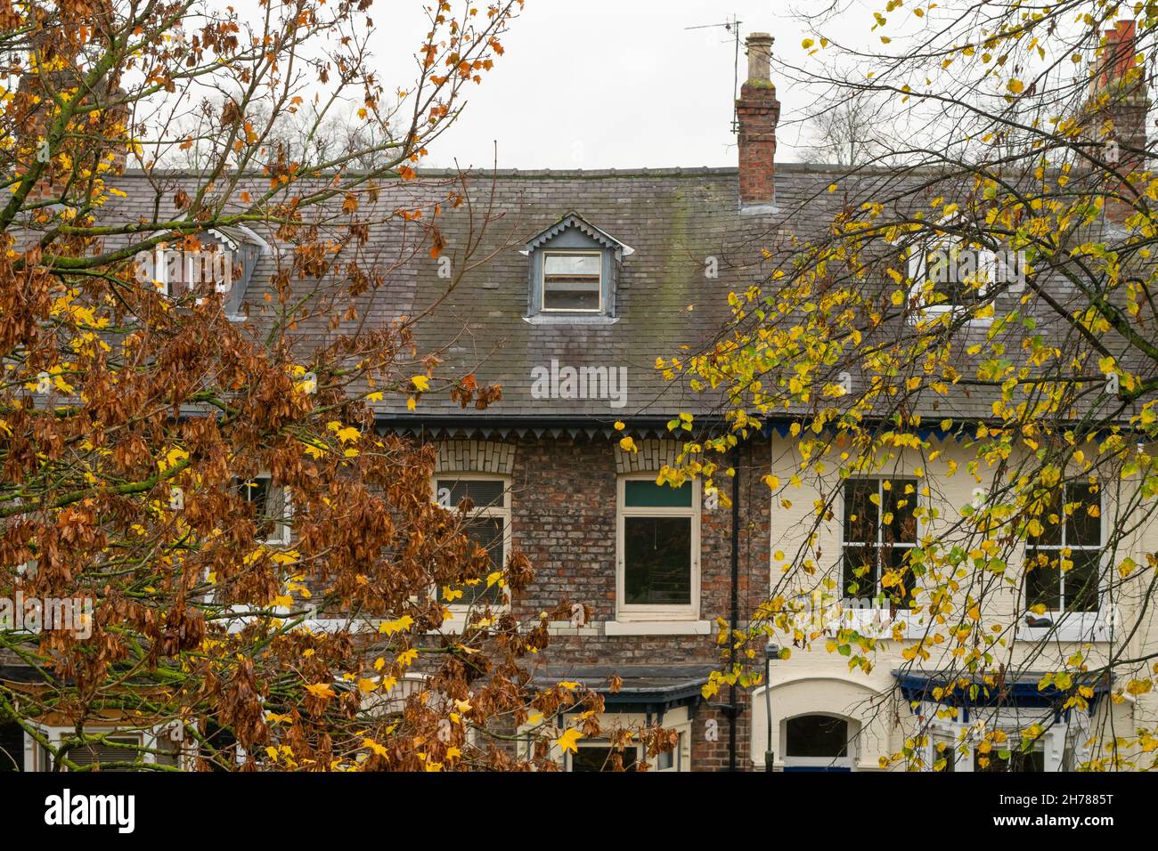 House behind tree hi-res stock photography and images - Alamy