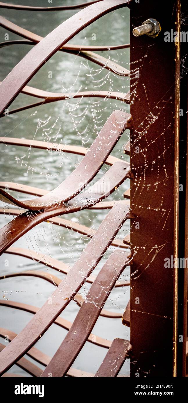 Beautiful cobweb fabric with dew Stock Photo - Alamy