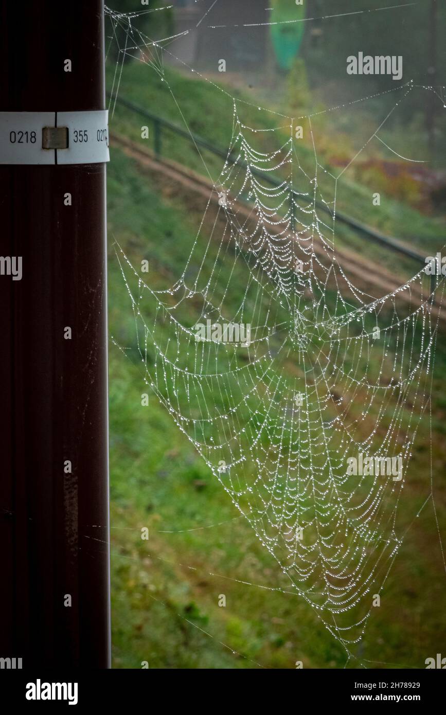 Beautiful cobweb fabric with dew Stock Photo - Alamy