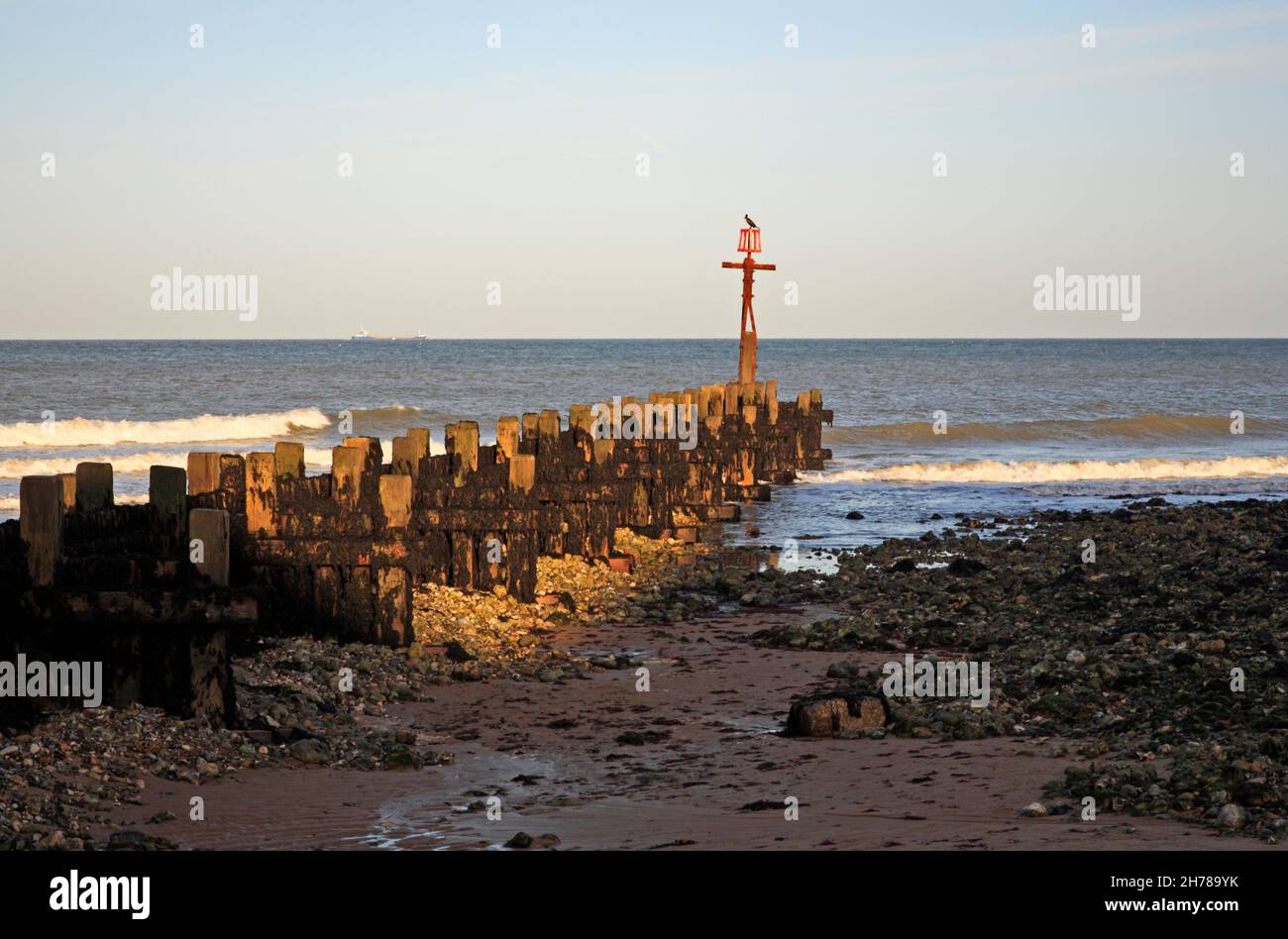 Timber technology hi-res stock photography and images - Alamy