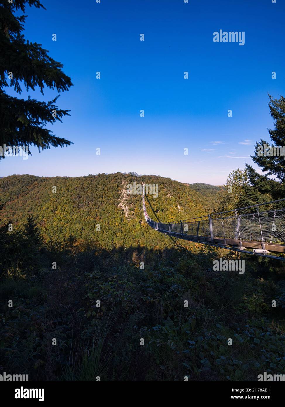 View of the landscape from the Geierlay suspension bridge. Beautiful ...