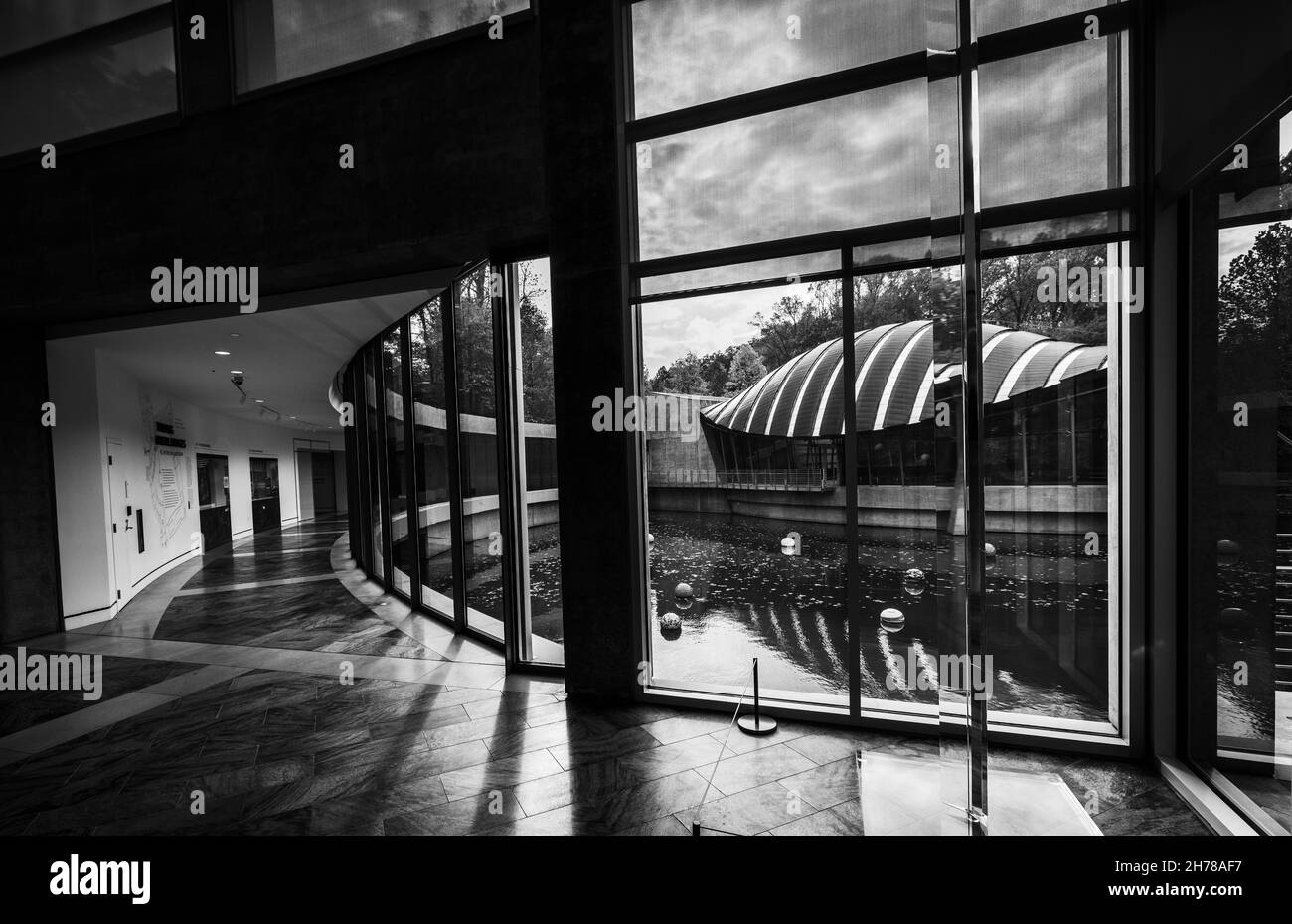 Abstract nature art Black and White Stock Photos & Images - Alamy