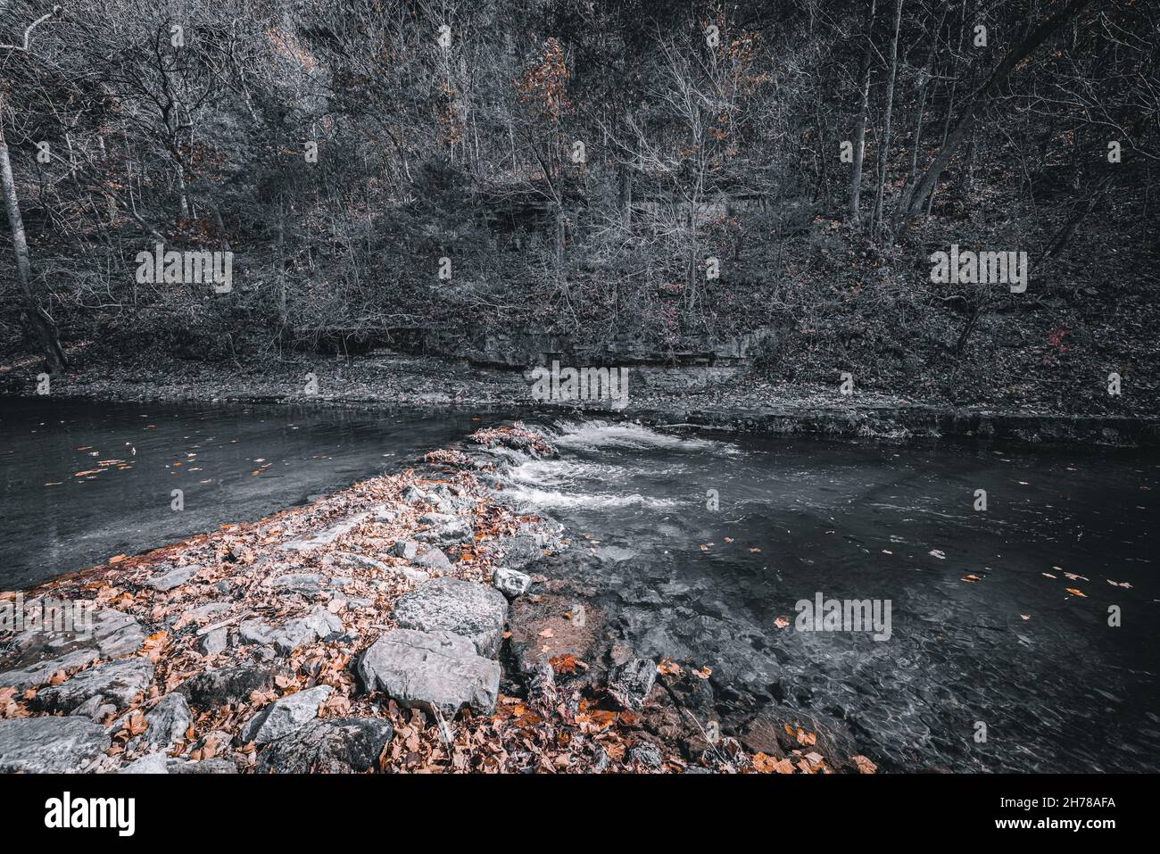 Abstract photography art hi-res stock photography and images - Alamy
