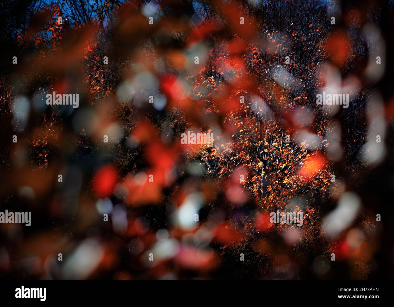 Abstract photography art hi-res stock photography and images - Alamy