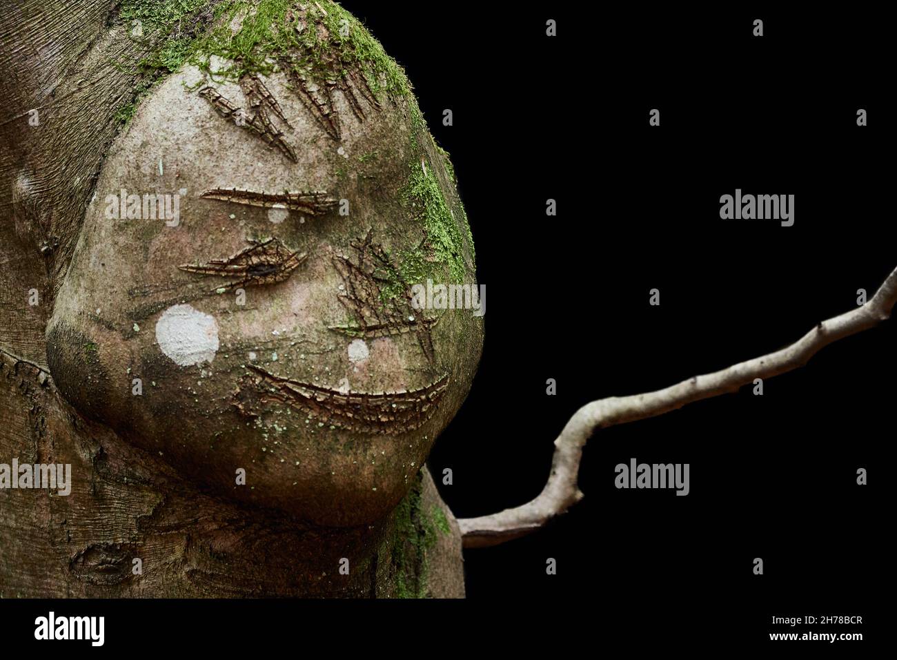 Tree carving hi-res stock photography and images - Alamy