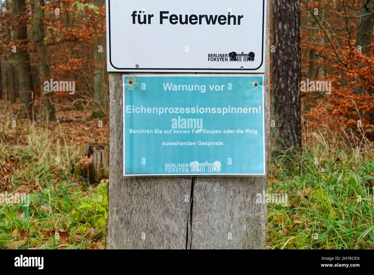 Oak processionary moth warning sign hi-res stock photography and images ...