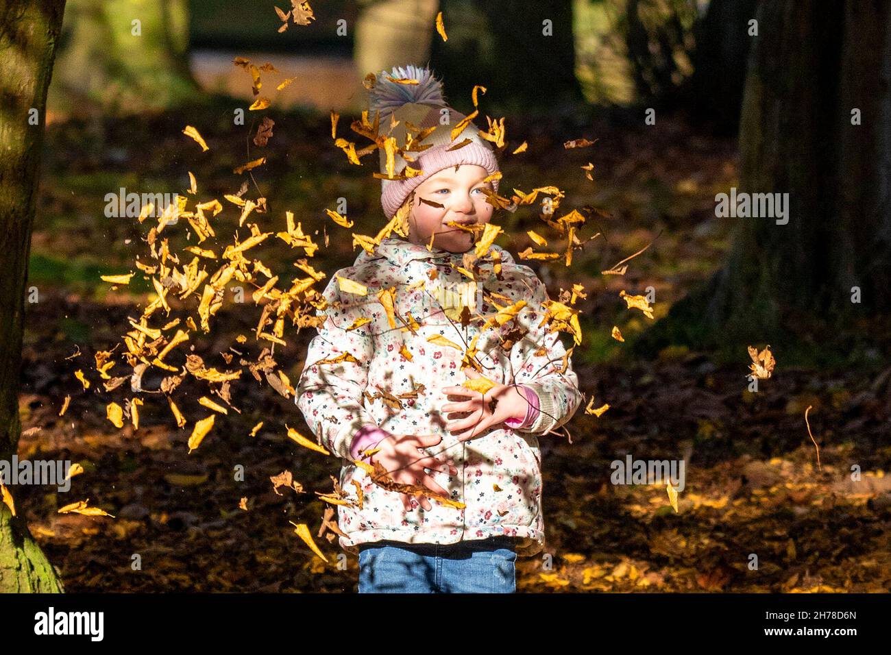 People walk in sefton park hi-res stock photography and images - Alamy