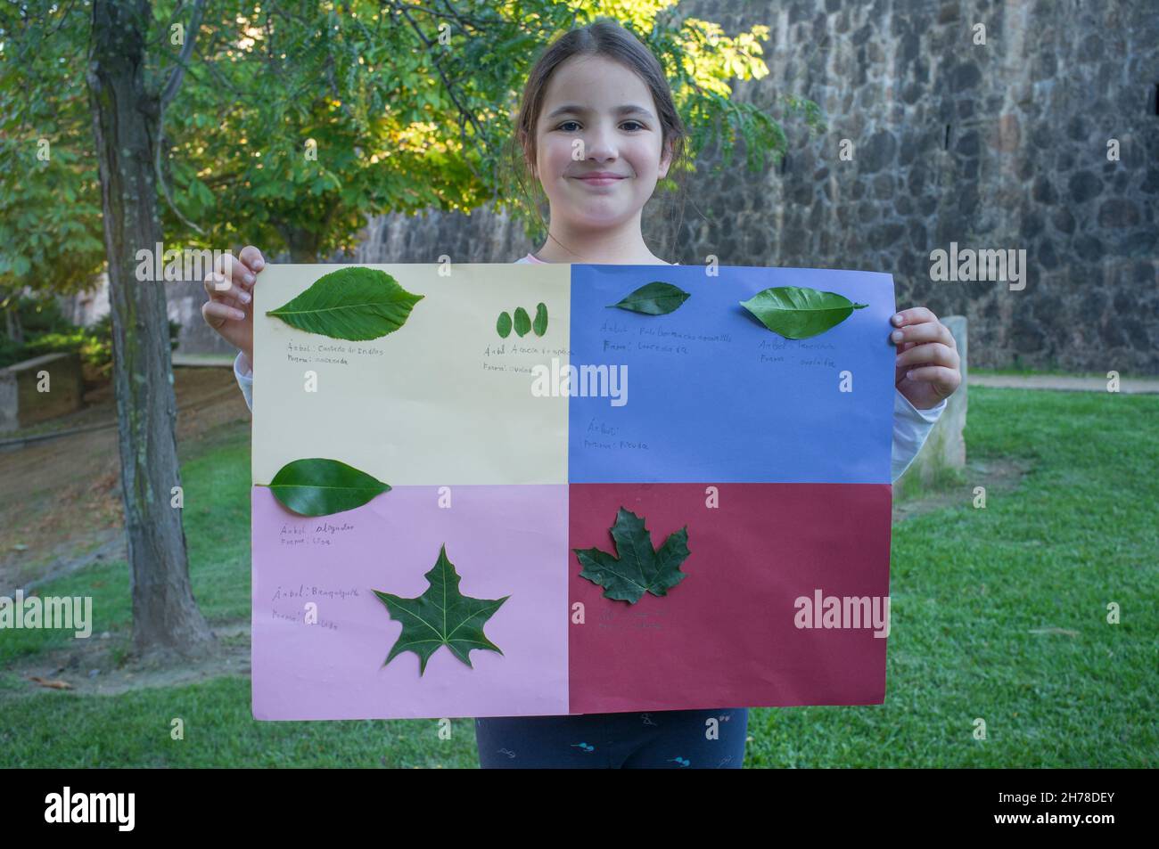 Child girl show proudly her science subject homework. Gluing leaves on ...