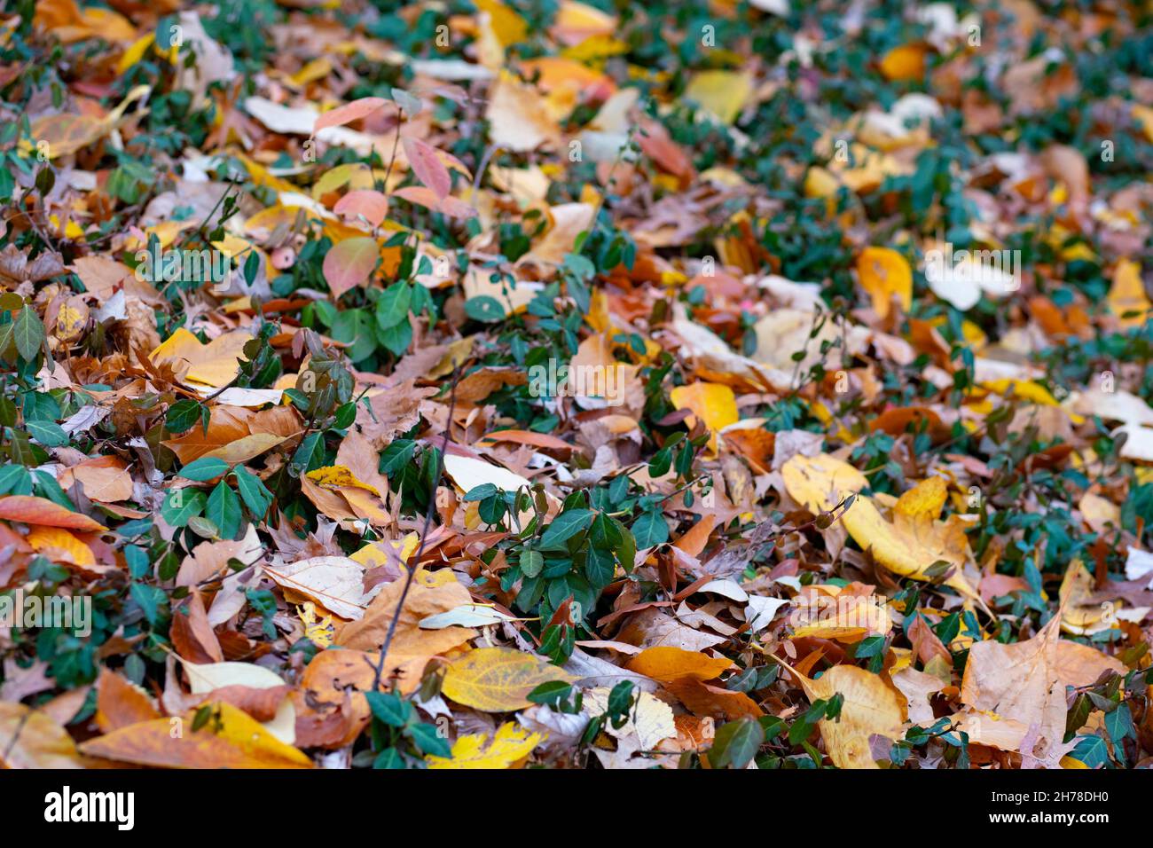 Bethesda terrace new york city images hi-res stock photography and ...