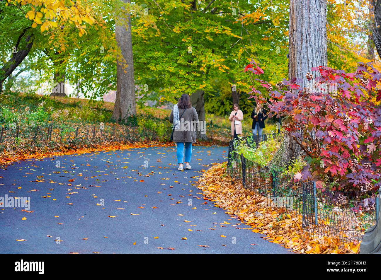 CENTRAL PARK NEW YORK CITY FALL/AUTUMN WALK Stock Photo - Alamy