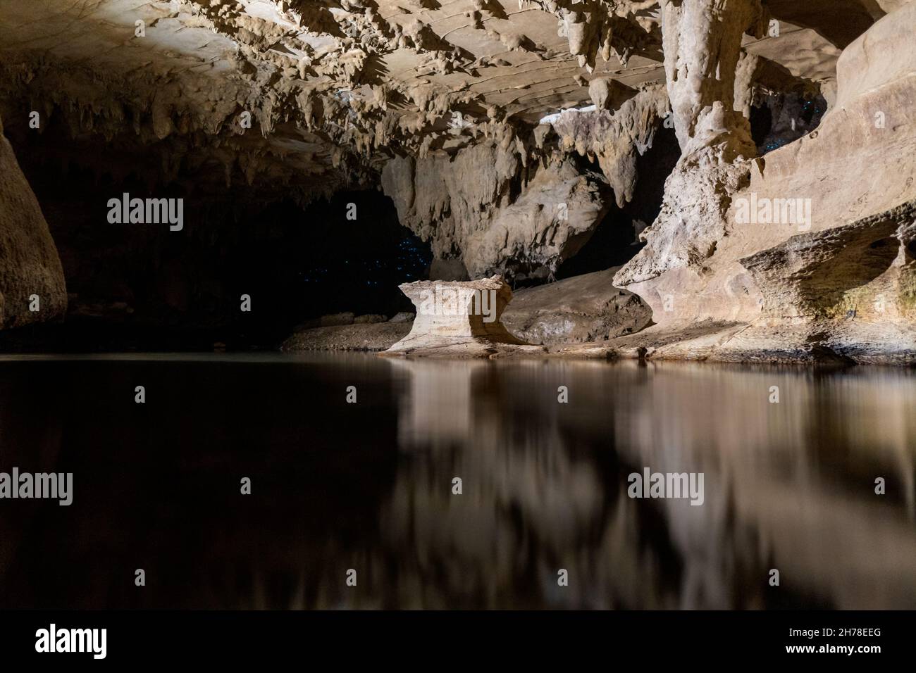 Illuminated Glow Worm Sky in Dark Cave, Waipu Caves, North Island, New ...
