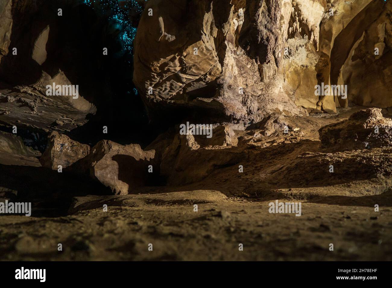 Illuminated Glow Worm Sky in Dark Cave, Waipu Caves, North Island, New ...