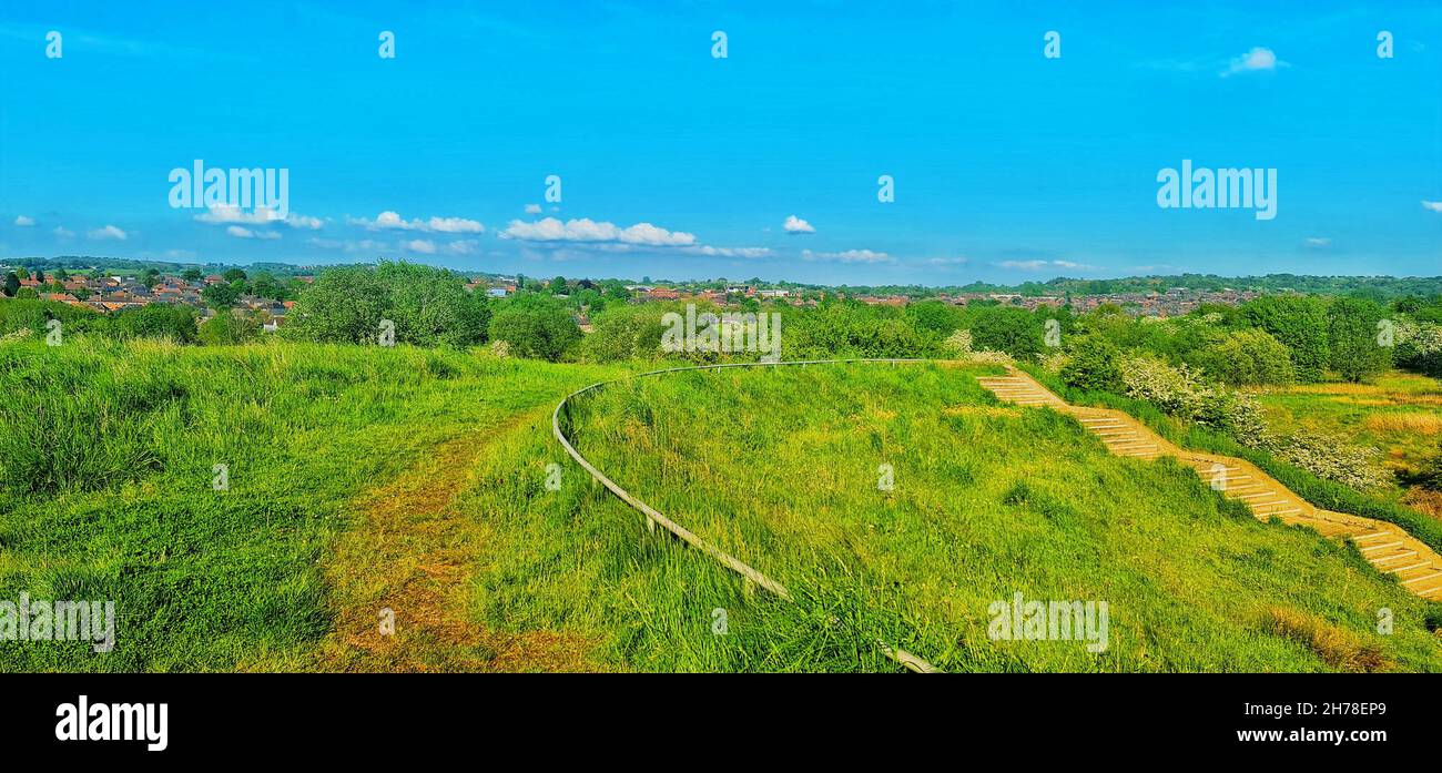 Greenfield grass herb hi-res stock photography and images - Alamy