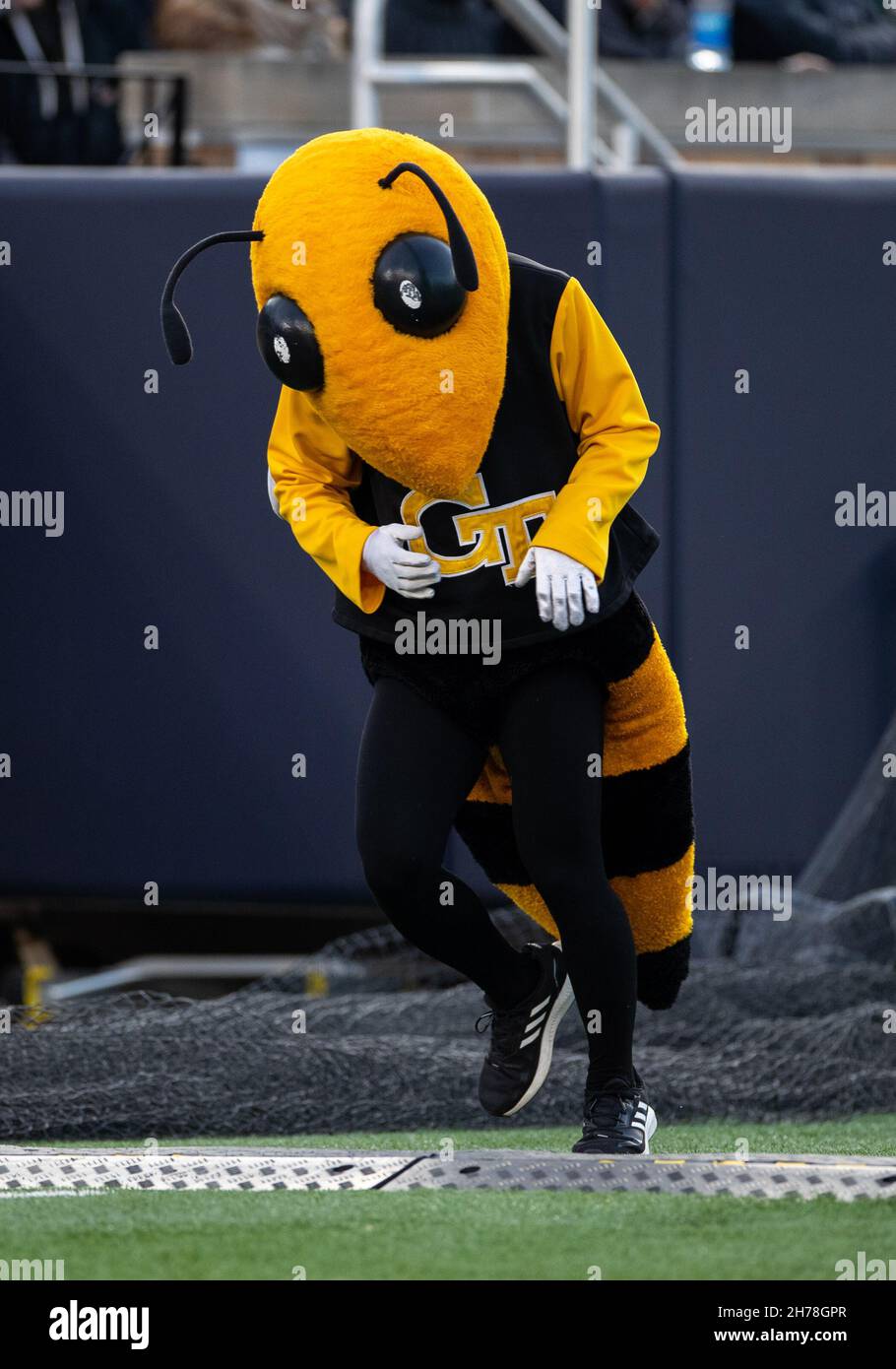 Georgia tech mascot hi-res stock photography and images - Alamy