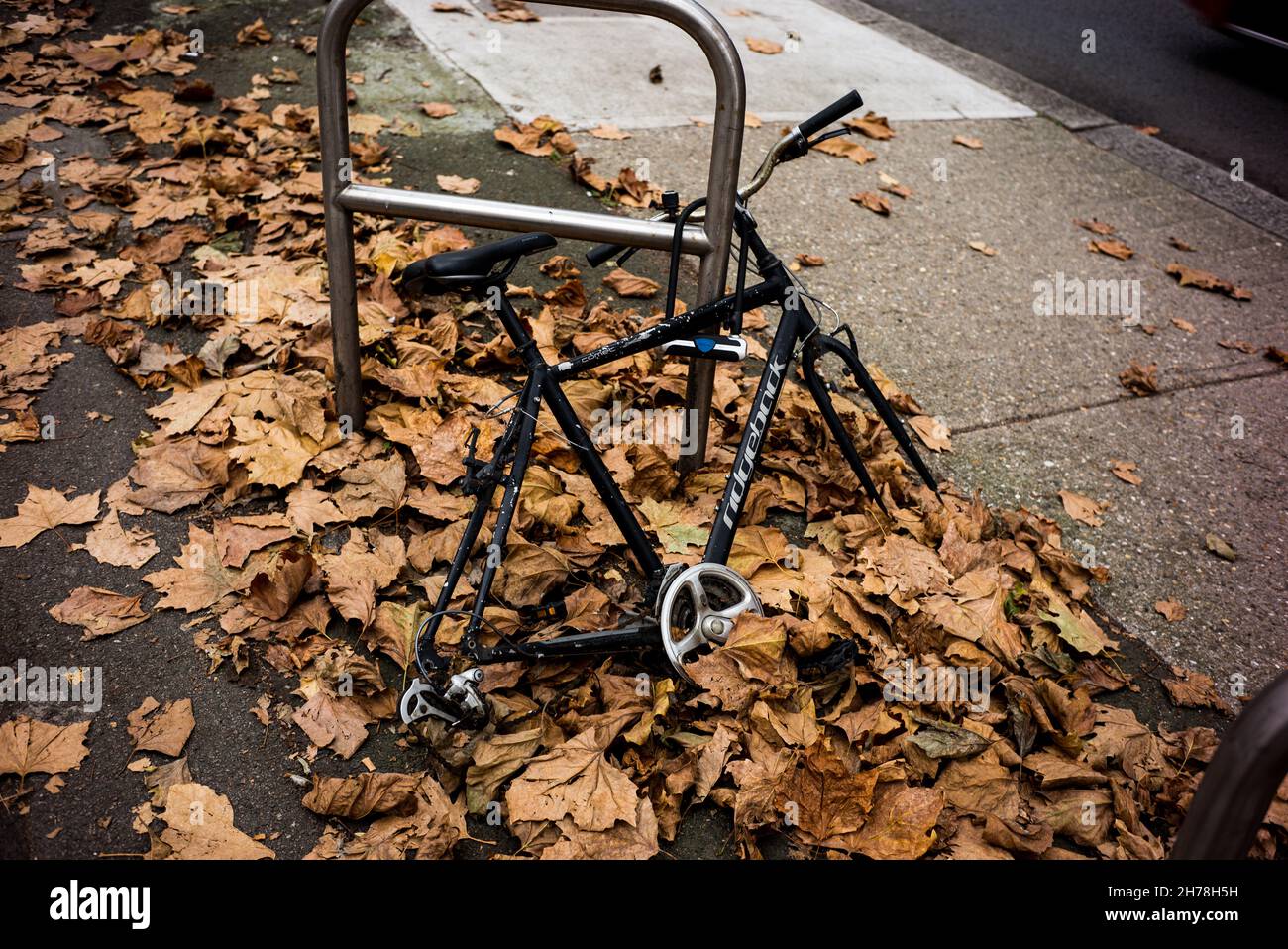Dismantled bicycle hi-res stock photography and images - Alamy