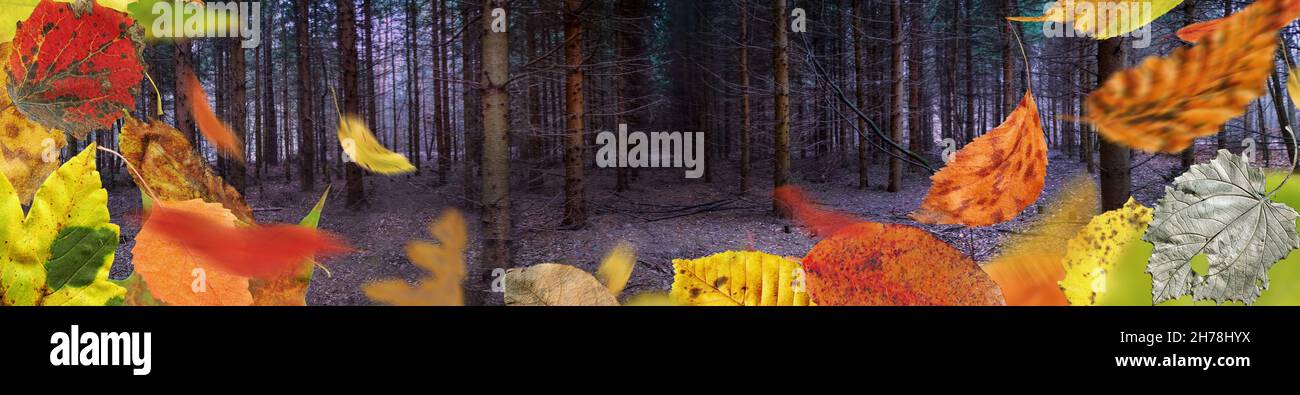 Awesome autumn wild area panoramic banner with falling flying vivid ...