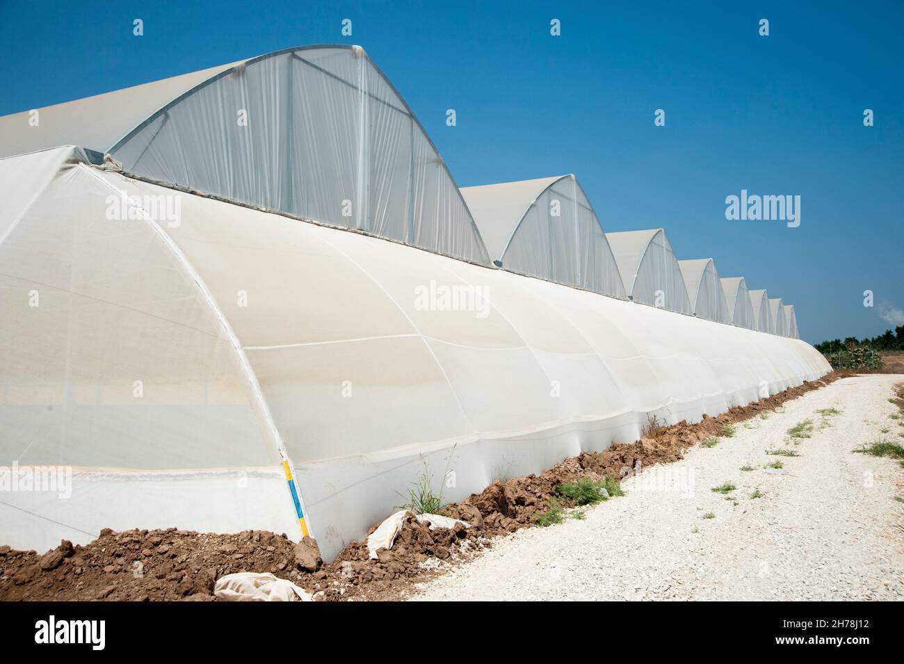 Greenhouse agriculture israeli hi-res stock photography and images - Alamy