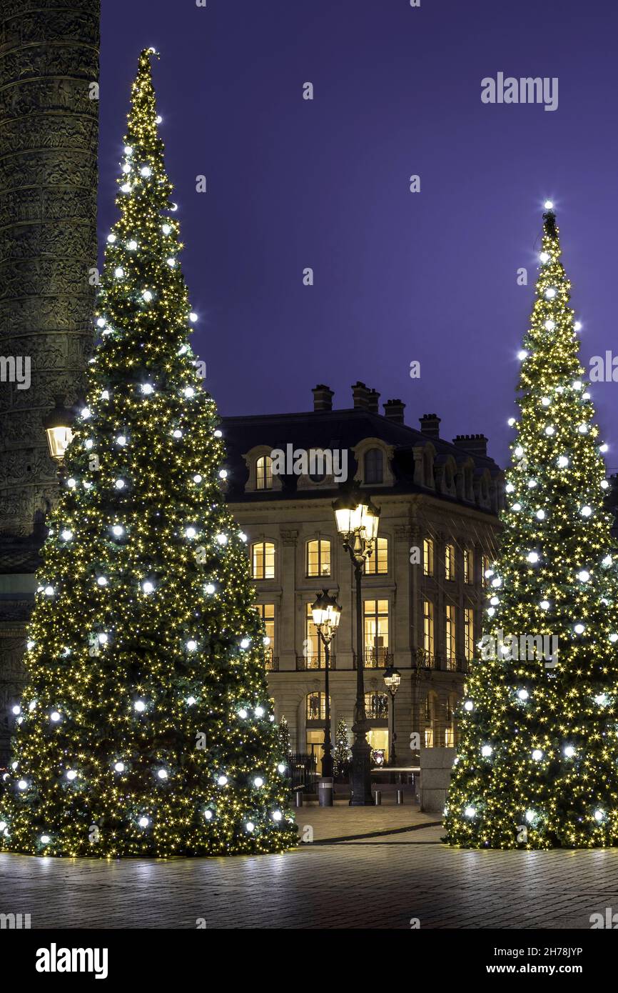 Paris tree hi-res stock photography and images - Alamy