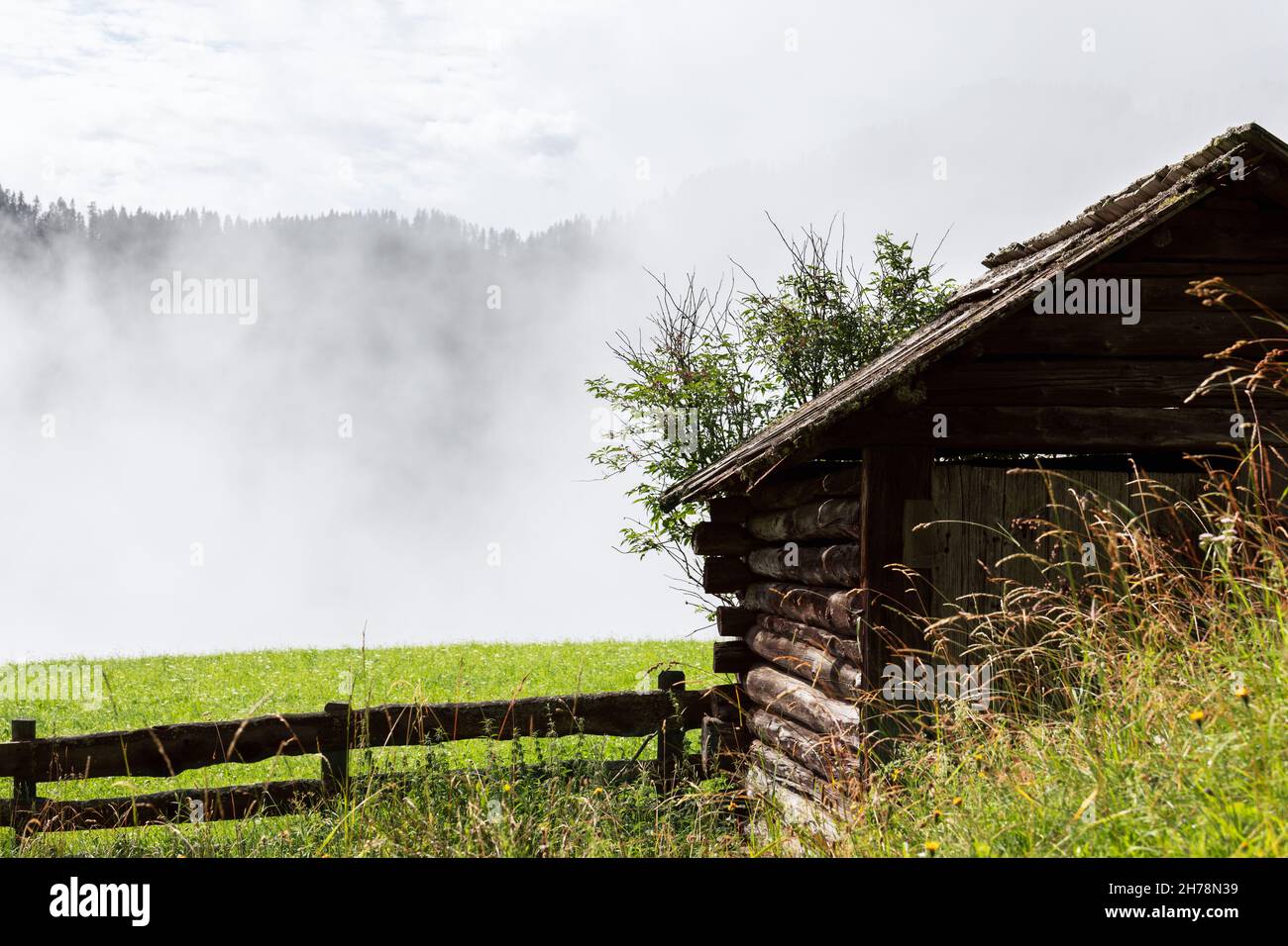 Rural scene. View of a village meadow after heavy rain and fog Stock ...