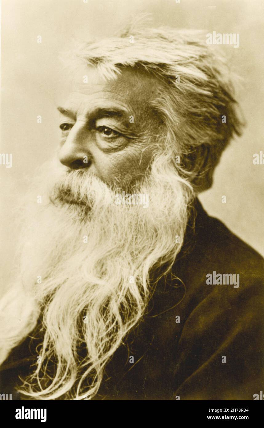 MEISSONNIER Ernest par NADAR Felix ©Archives-Zephyr/Opale.photo *** Local Caption *** Stock ...