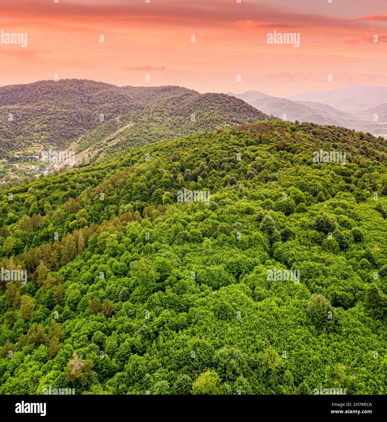Aerial view of a mountain valley with dense forests. Ecosystem and the ...