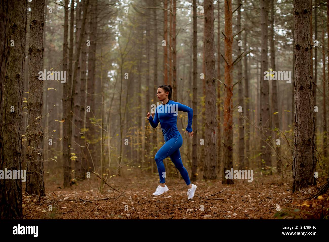 Young woman in blue track suit running on the forest trail at autumn ...