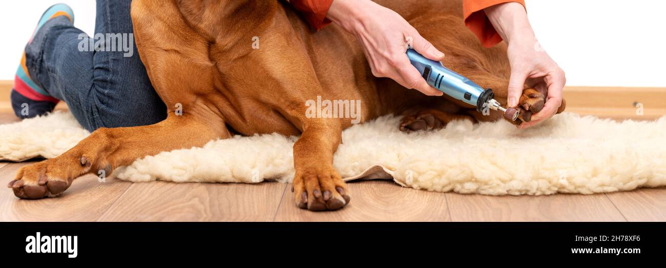 Dremeling hi-res stock photography and images - Alamy