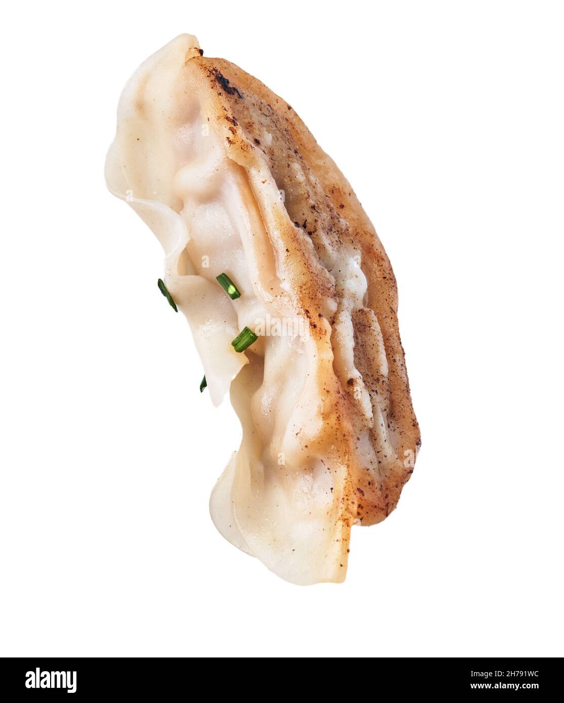 Single delicious chinese gyoza isolated on a white background Stock ...