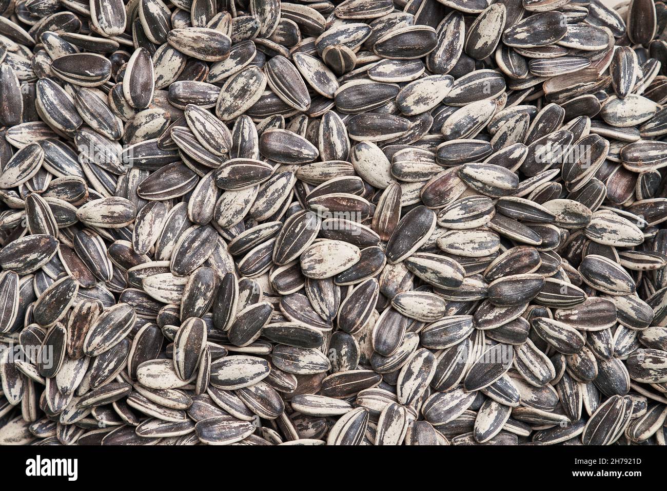Beautiful sunflower seeds image Stock Photo - Alamy