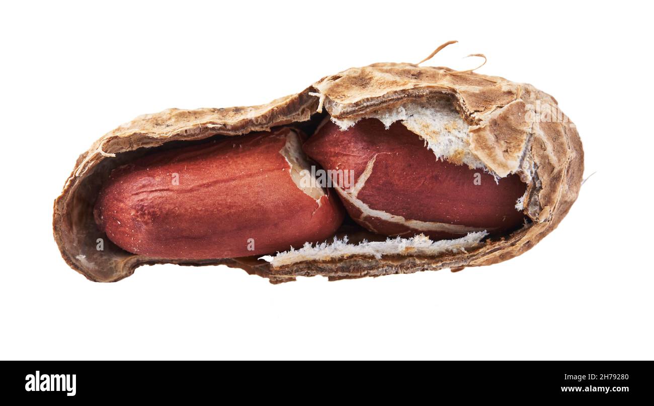 Middle peanut shell with peanuts isolated on a white background Stock ...