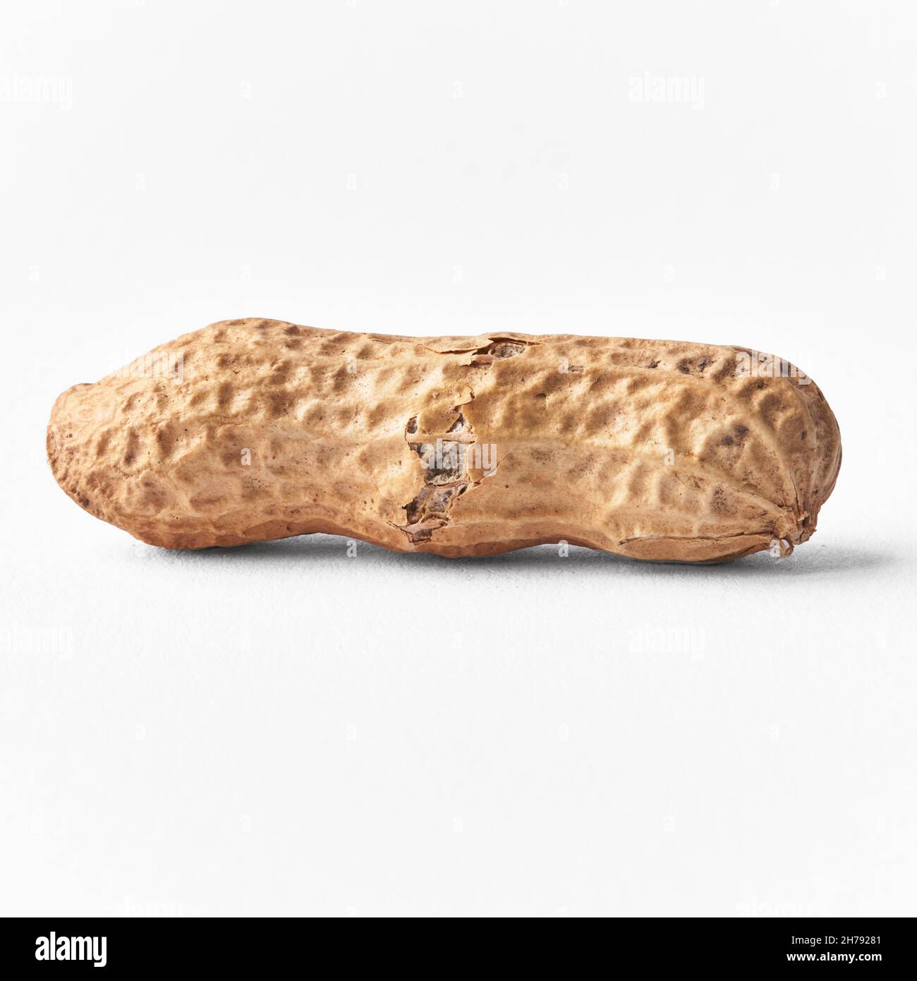 Single peanut with shell isolated on a white background Stock Photo - Alamy