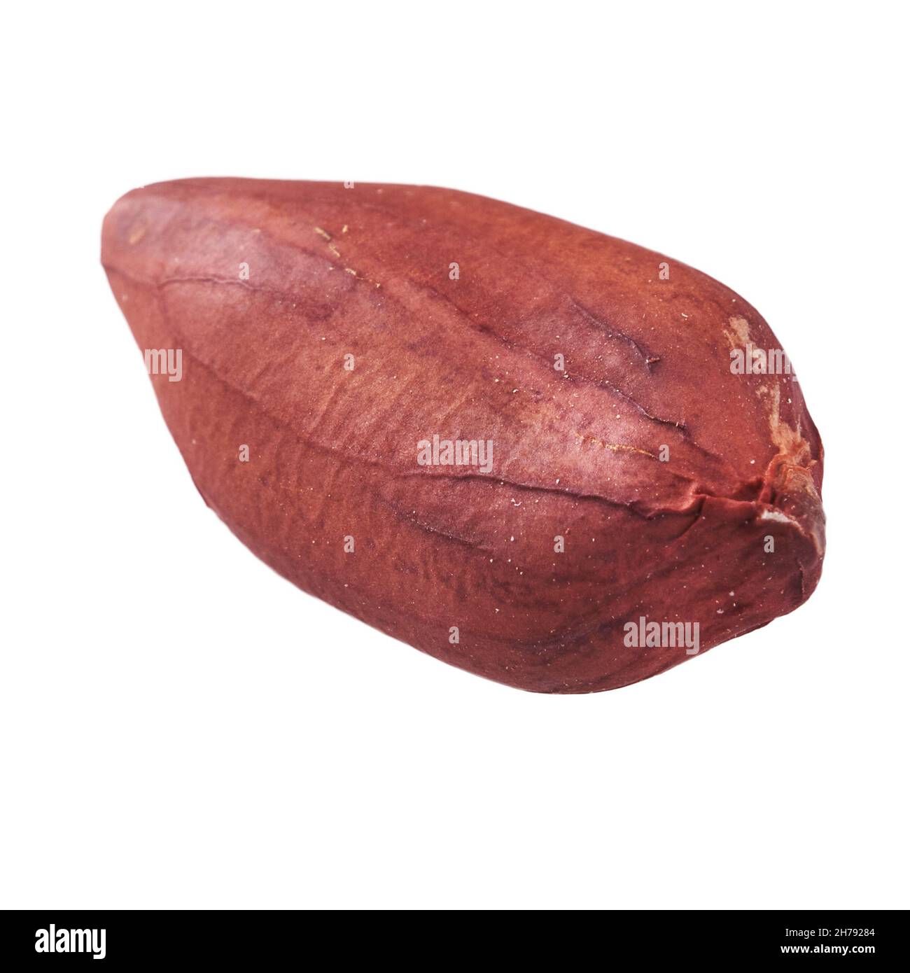 Single peanut isolated on a white background Stock Photo - Alamy
