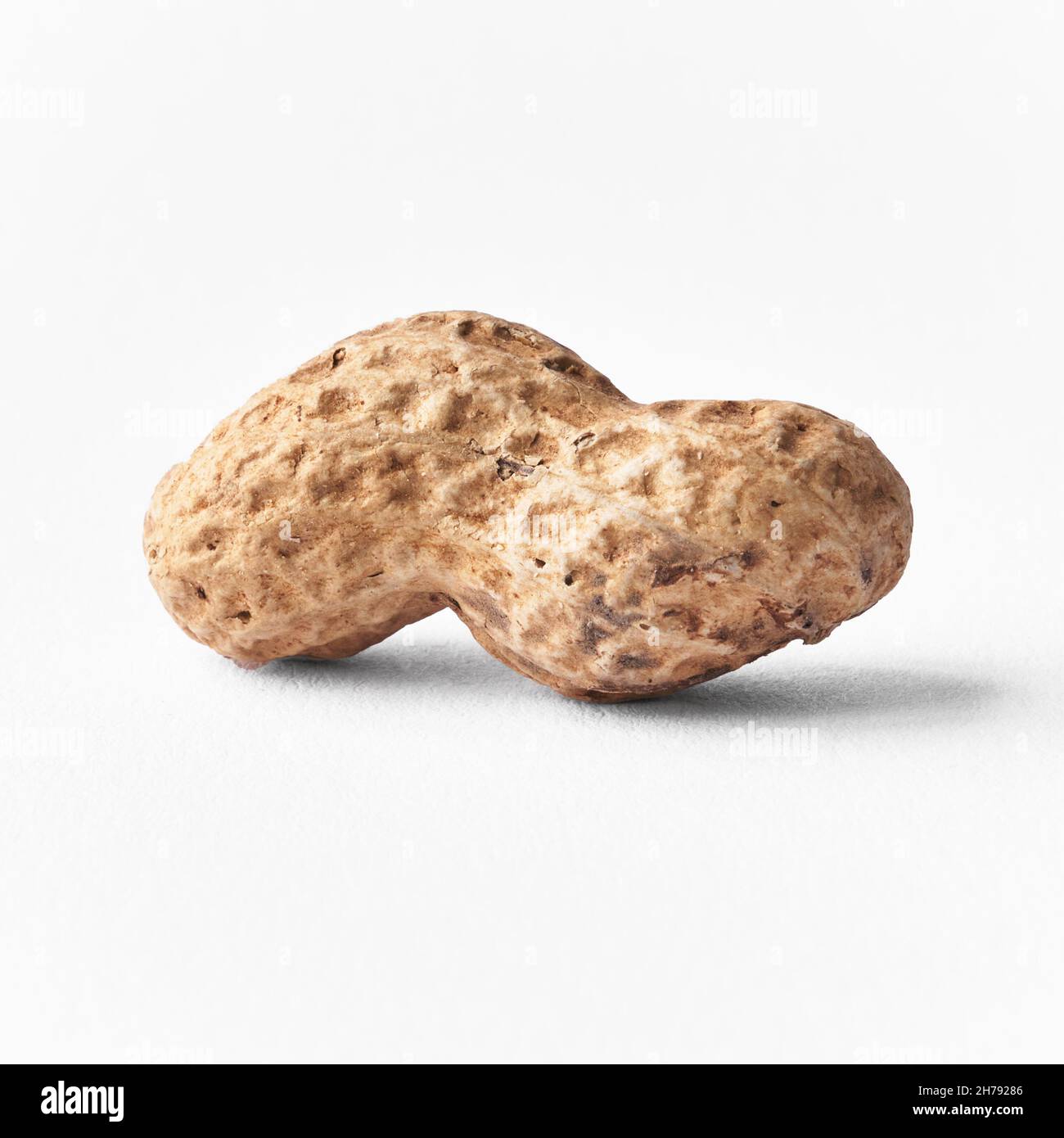 Single peanut with shell isolated on a white background Stock Photo - Alamy