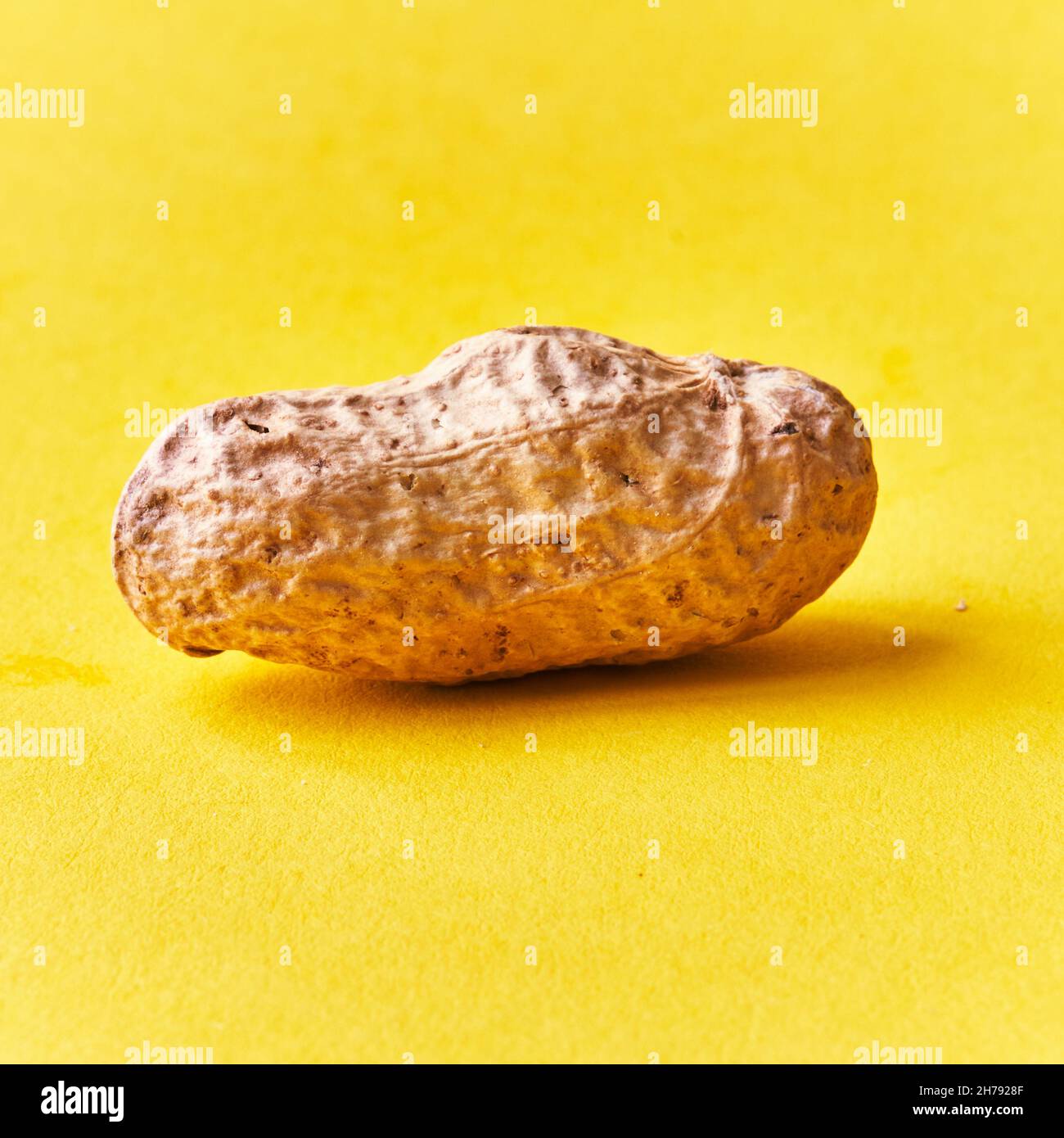 Single peanut with shell on a yellow background Stock Photo - Alamy