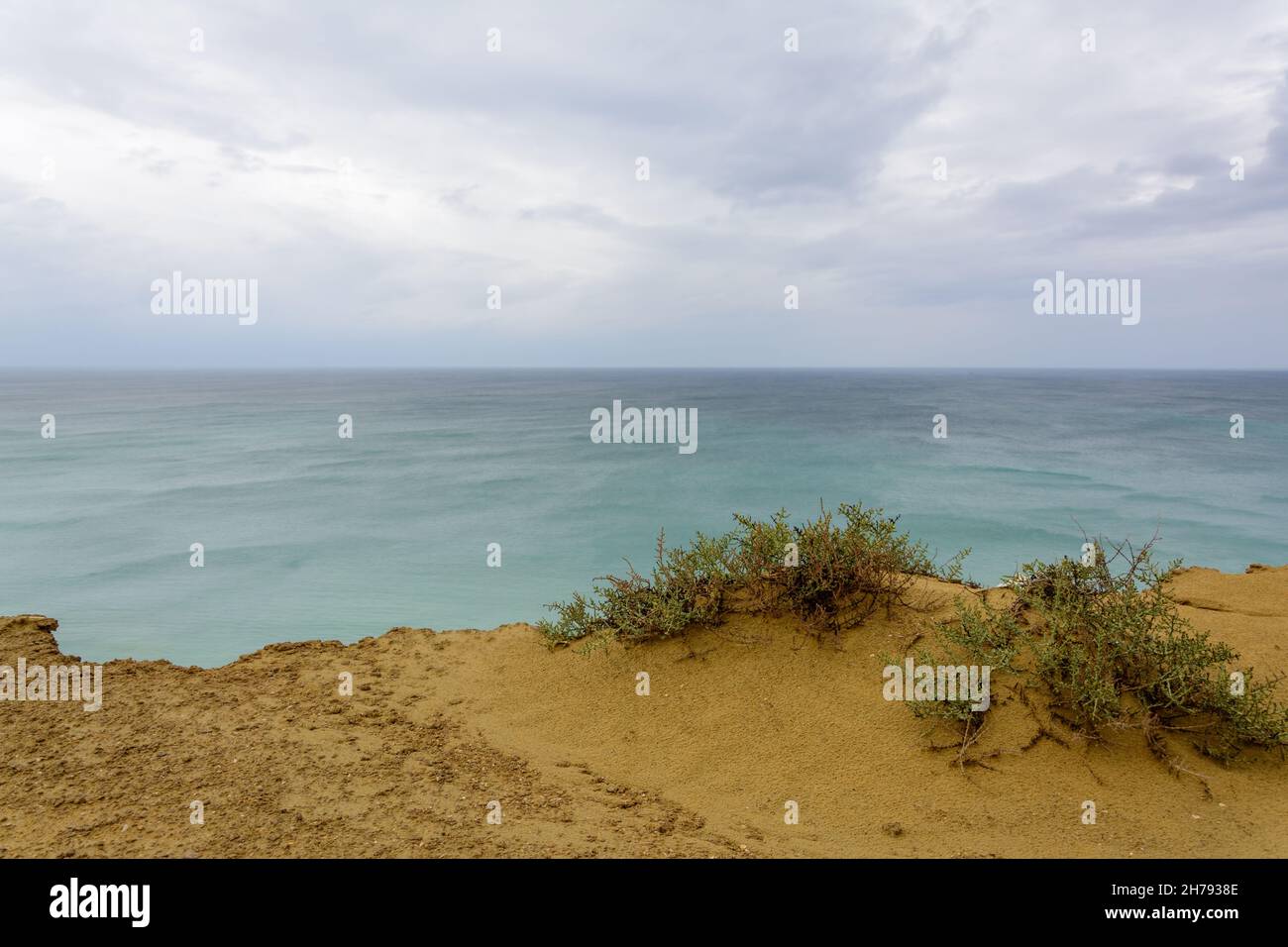 Plants in beach of chabahar hi-res stock photography and images - Alamy