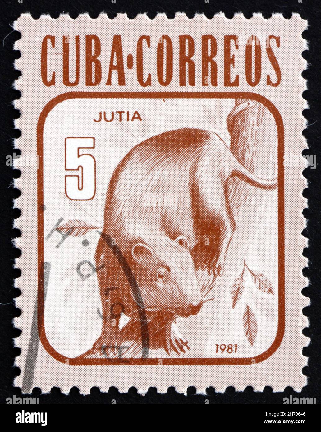 CUBA - CIRCA 1981: a stamp printed in the Cuba shows Hutia, Rodent ...