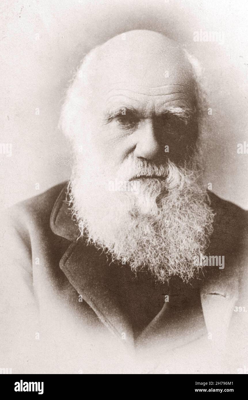 Charles DARWIN ©Archives-Zephyr/Opale.photo *** Local Caption *** Stock Photo - Alamy